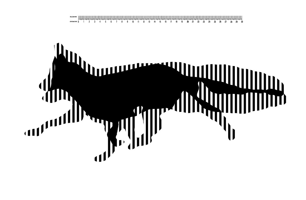 Animated Nature Trail / Stairfoot